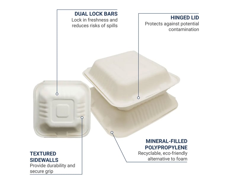 Empress Hinged Lid Food Container - 6" x 6" x 3", Plastic, Natural ...