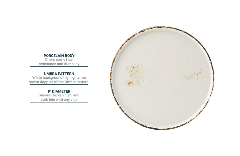 Steelite UCT9068 9" Round Utopia Umbra Coupe Plate - Porcelain, White